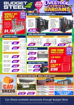 Budget Steel | November Specials - Steel Carnival Sale